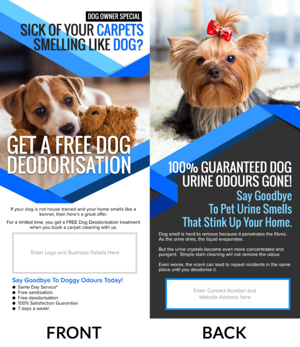 Letterbox Flyers Template 1 - Steamaster Academy